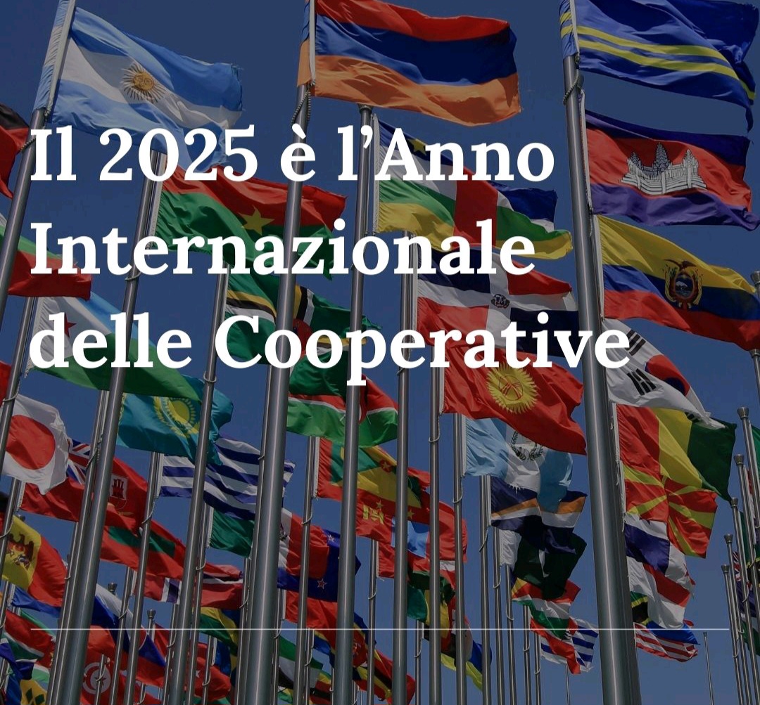 Il 2025 è l'anno internazionale delle cooperative - Fondazione Barberini
